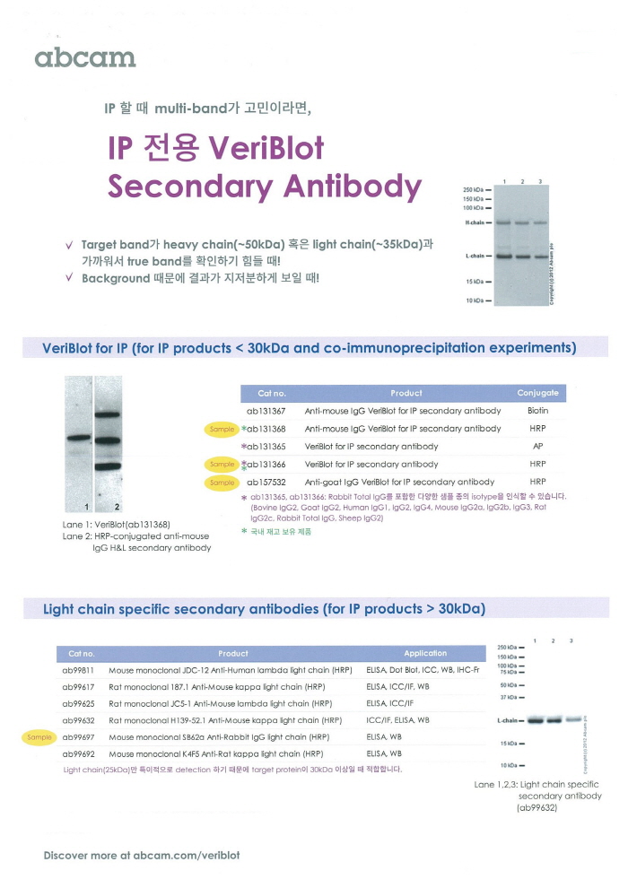 board > 공지사항 > [Abcam] IP전용 Veriblot secondary antibody